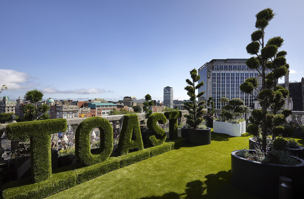 Roof Top Garden | Caragh Nurseries