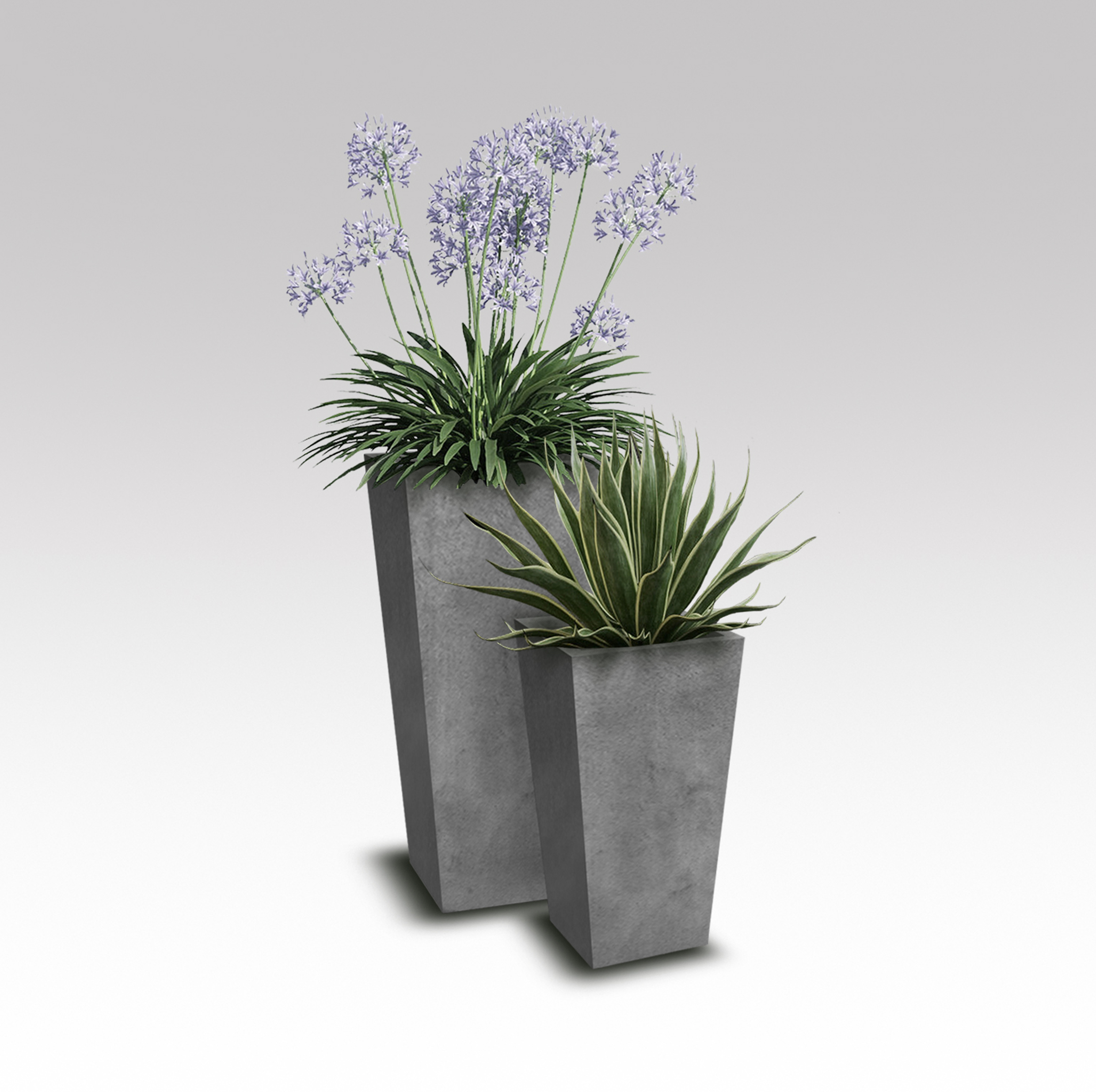 Weathered Cement Tall Tapered Pots | Caragh Nurseries