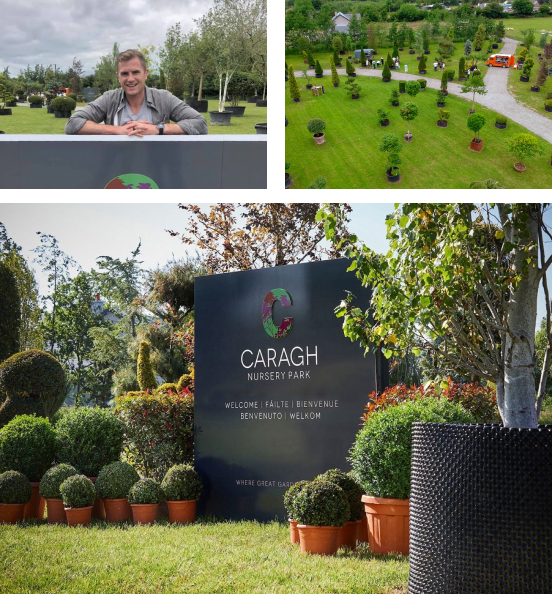 Caragh Nursery Park | Caragh Nurseries