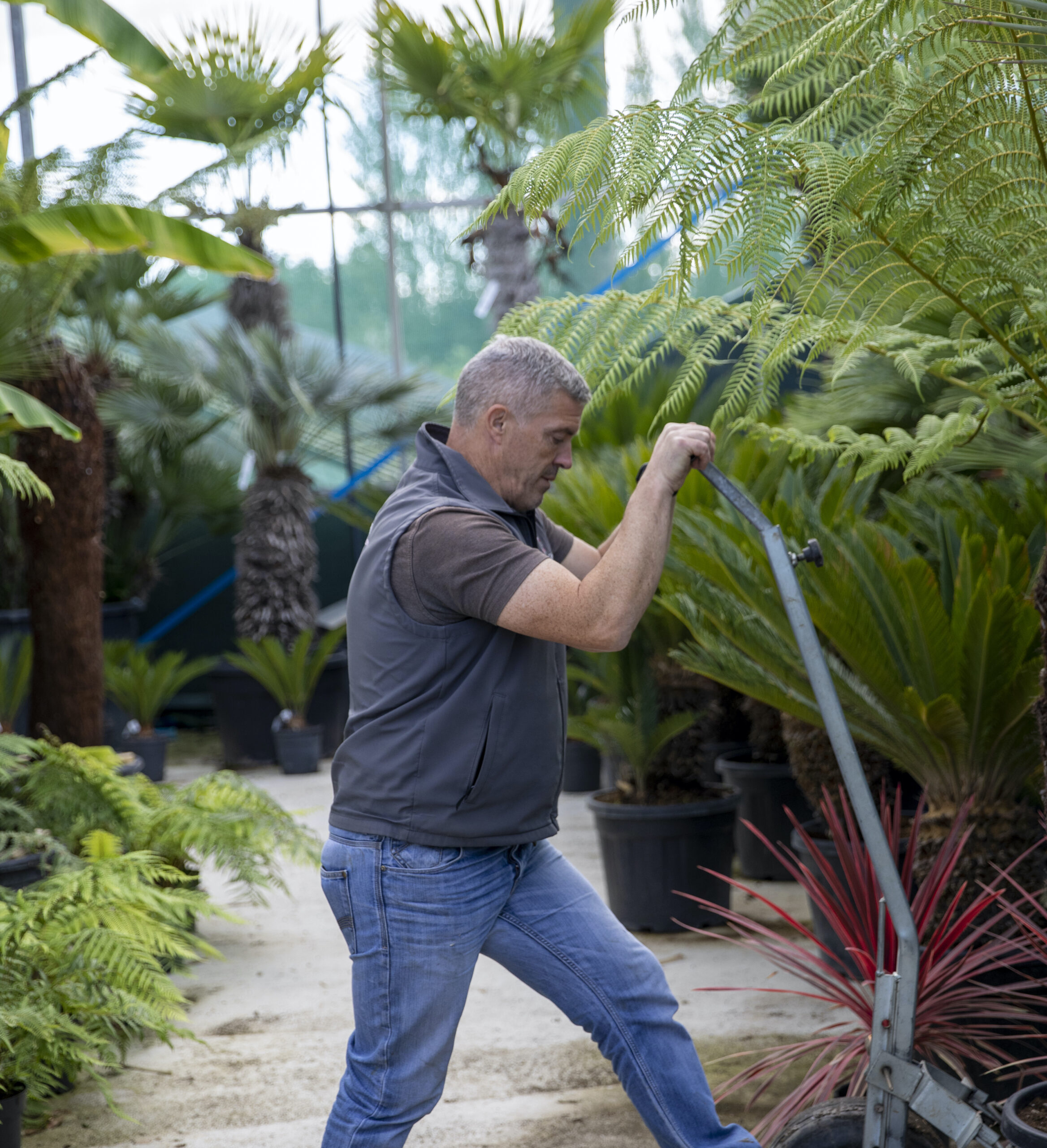 Derek | Caragh Nurseries