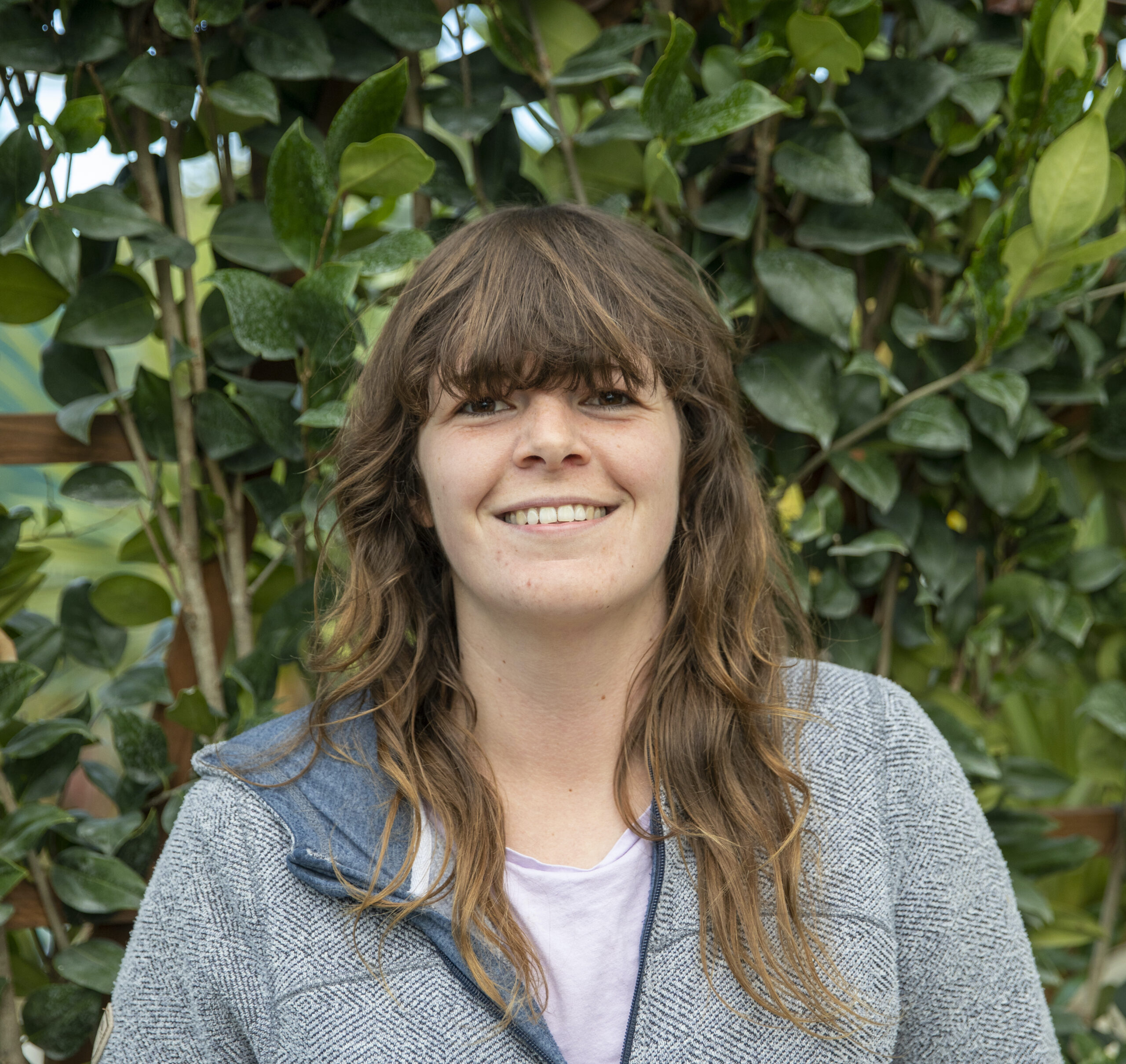 Holly | Caragh Nurseries