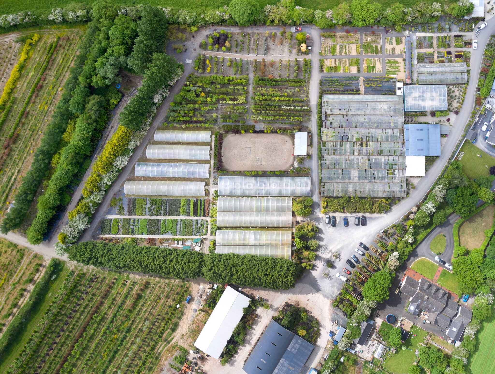 Caragh Nurseries | Plant Nursery
