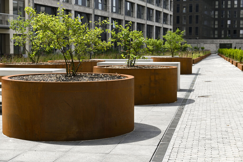 Corten Steel Atlas Pot | Caragh Nurseries